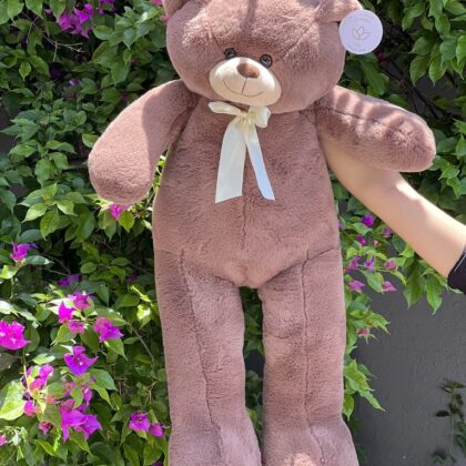 Osos Teddy XL