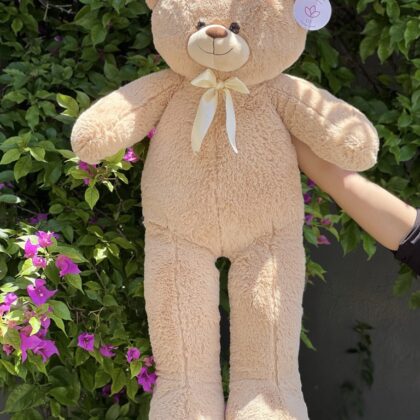 Osos Teddy XL