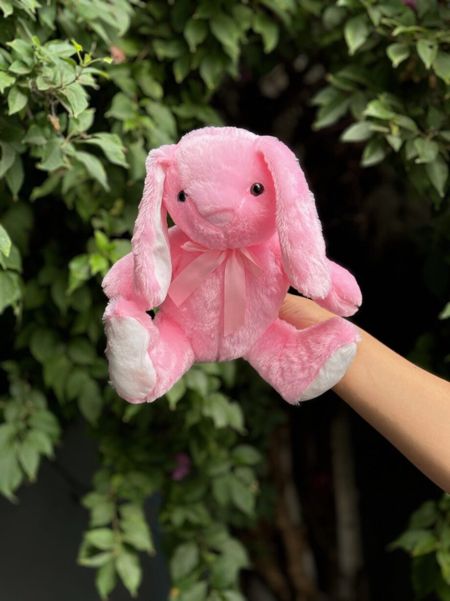 Pink Rabbit